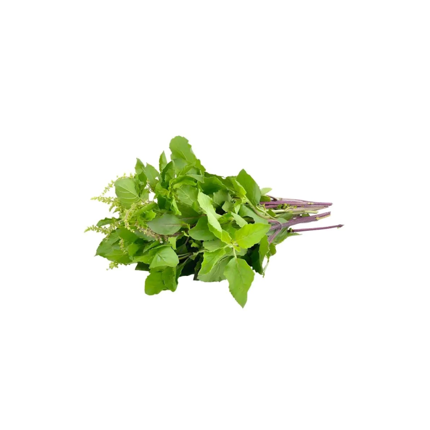 Organic Farming - Mala Farms